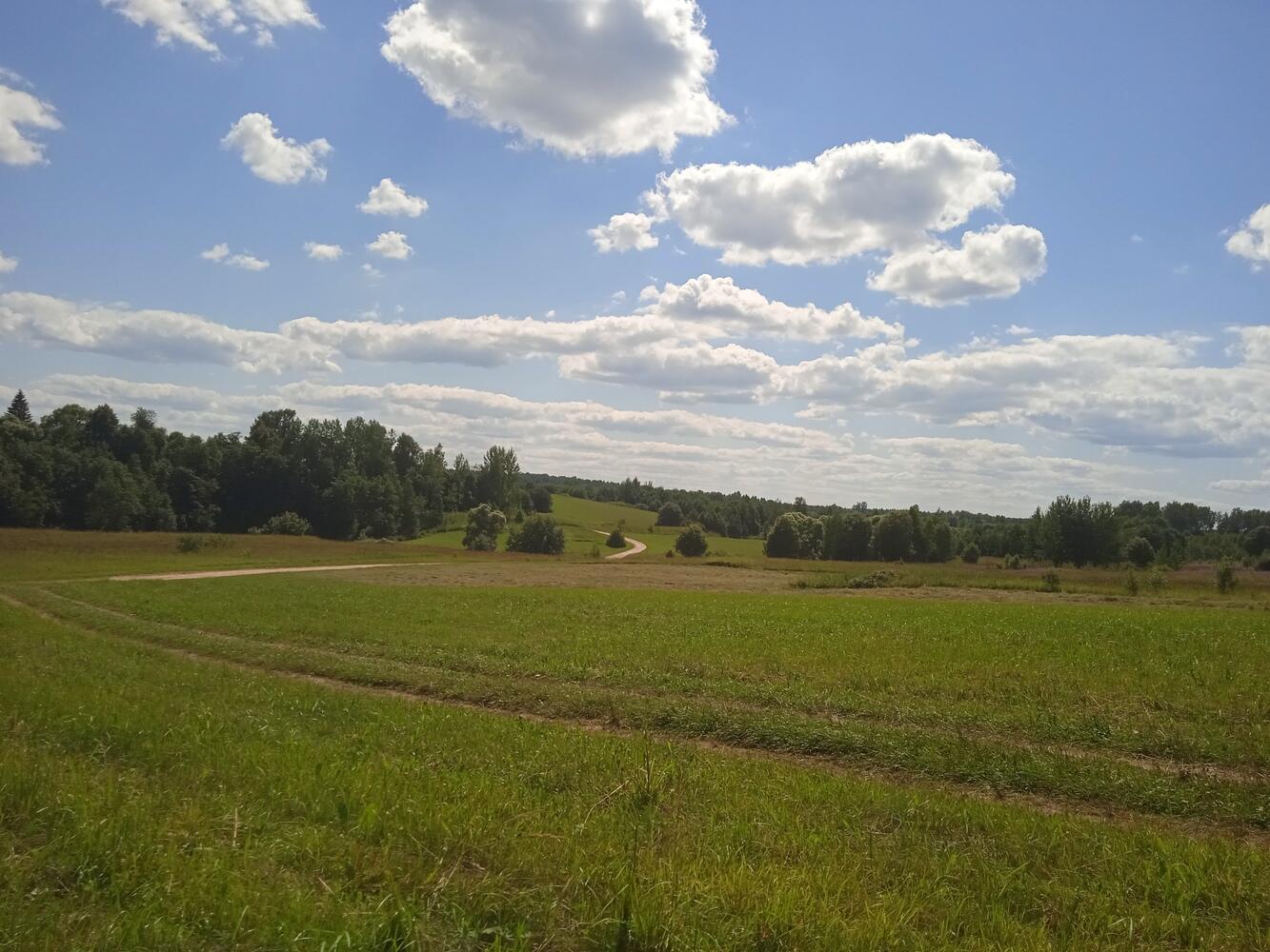 15 июня - День фотографии дикой природы