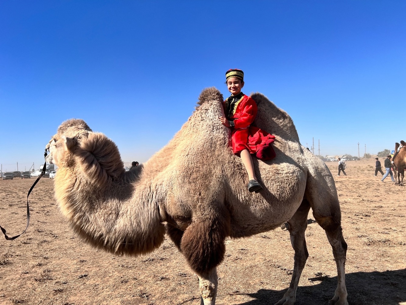 Жители и гости Калмыкии приняли участие в фестивале «Кони эпоса»