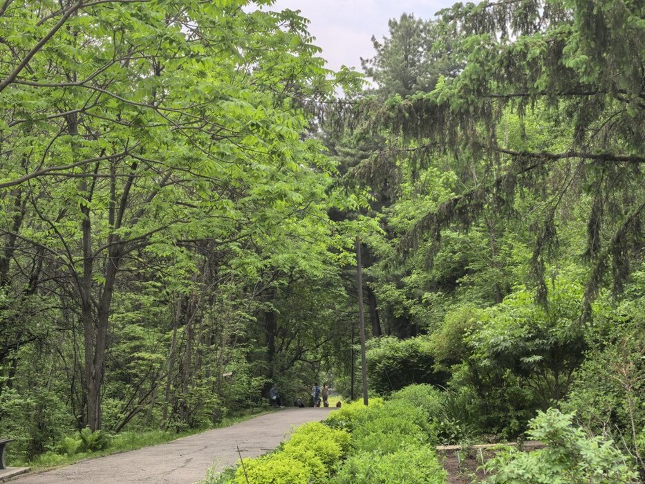 Благоустройству быть: фото разбитых дорог и начала ремонта в ...