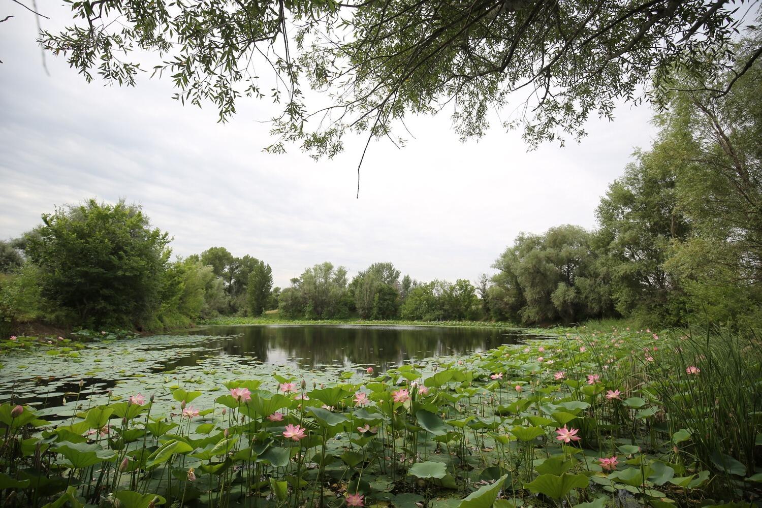 День фотографии природы: смотрим самые красивые места Волгоградской области