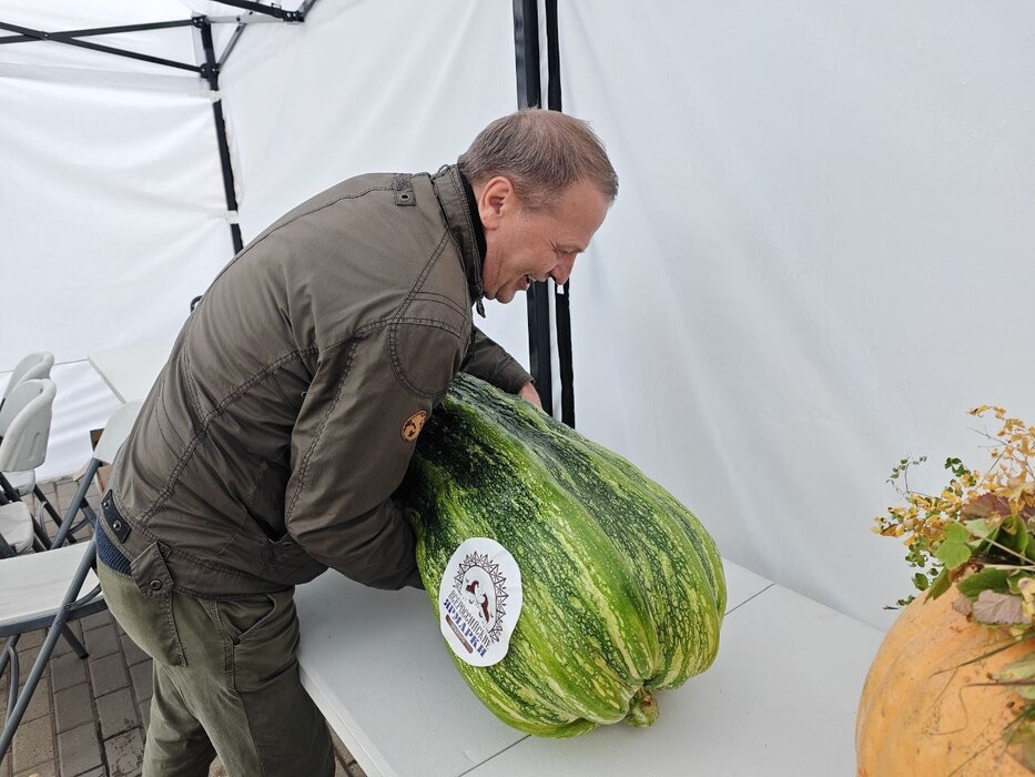 Невероятно огромные овощи: на ярмарке в Красноярске выбрали победителей ...